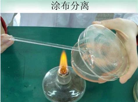 微生物涂布培养法的用途及注意事项