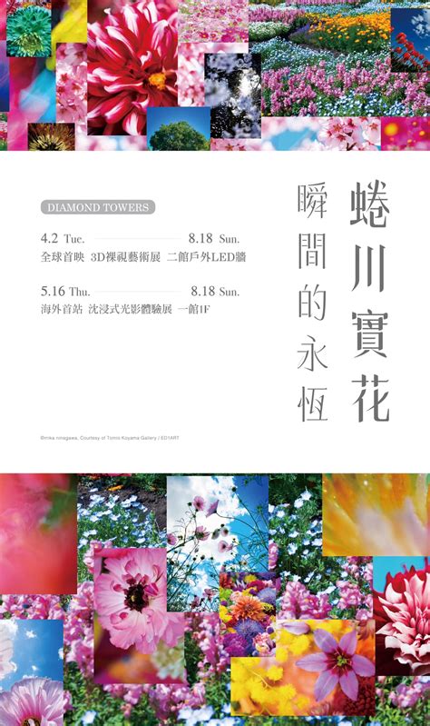 蜷川実花 事隔多年終於在台北再次辦展🦋 516 818東區新光三越diamond Towers一館開幕！