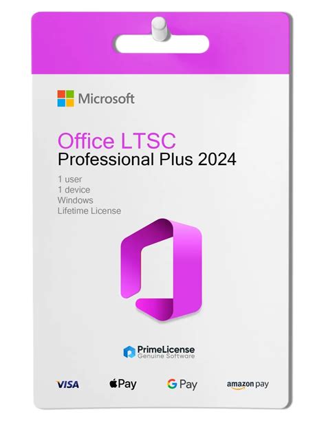 Office 2019 Professional Plus Lifetime License