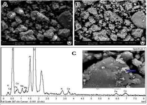 Sem Image And Eds Spectra Of Coanz A Se Detector B Bse Detector