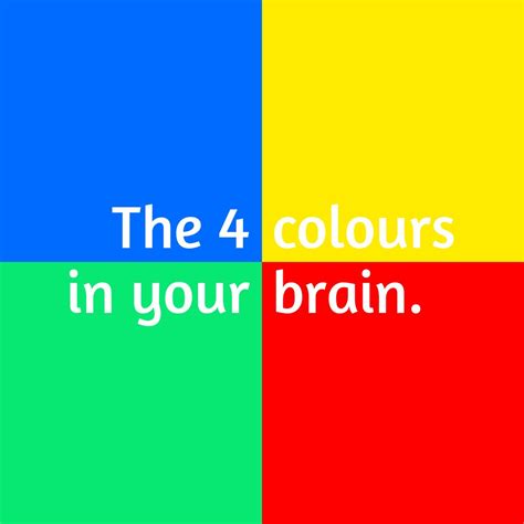 The 4 Brain Colours What They Say About You 🎨 Worlds Stickiest Learning