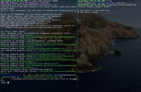 Linux — Debugging A Python Process With Gdb Life As A Network