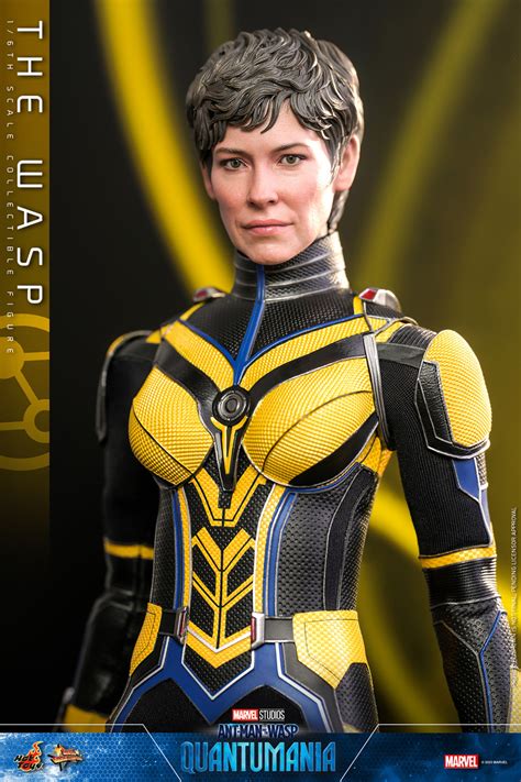 Hot Toys 16 The Wasp Action Figure