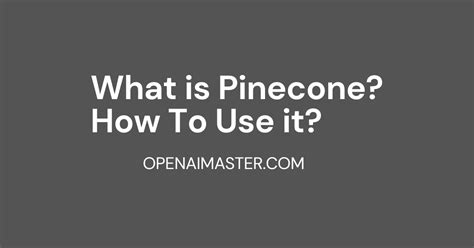 What Is Pinecone How To Use It Open Ai Master