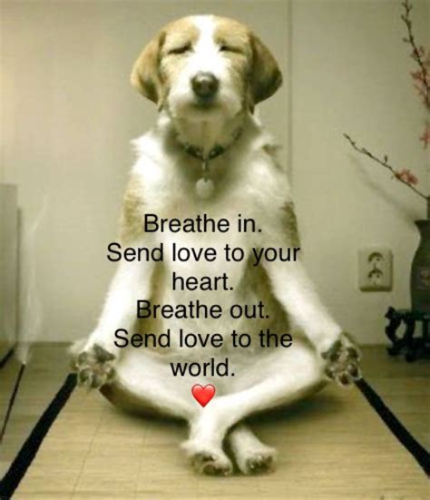 Slow Down For A Minute And Just Breathe ️ Breathwork Is So Powerful Because It Can Be Used As A