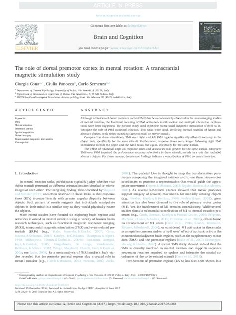 Pdf The Role Of Dorsal Premotor Cortex In Mental Rotation A Transcranial Magnetic Stimulation