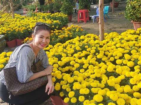 ចូលឆ្នាំចិន ឆ្នាំនេះផ្កាពណ៌លឿង និងក្រហម លក់ដាច់ខ្លាំង ដោយសារជំនឿទៅលើឆ្នាំទន្សាយ Ams Central