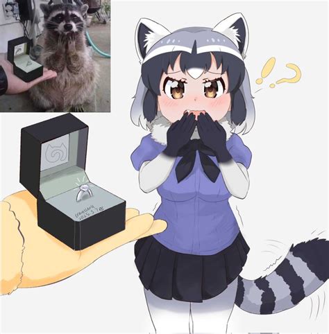 Travellerll Common Raccoon Kemono Friends Fennec Kemono Friends Kemono Friends Highres