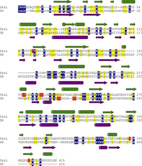sequence alignment and secondary structure prediction for skzl and sk