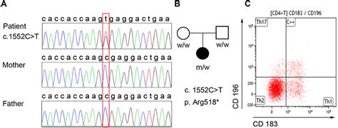 A Novel Stat3 Mutation In A Patient With Hyper Ige Syndrome Diagnosed Jaa