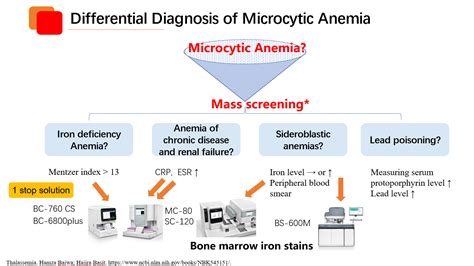 Understanding Anemia Causes Symptoms Treatment And Solution Options