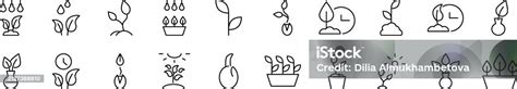 Thin Line으로 그린 정원 가꾸기 이미지 편집 가능한 획 상점 상점 배너 디자인을 위한 간단한 선형 그림 가루로 빻은에 대한 스톡 벡터 아트 및 기타 이미지 Istock