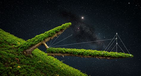 Top Ten Mathematical Concepts That Explain Everyday Mysteries Zentara