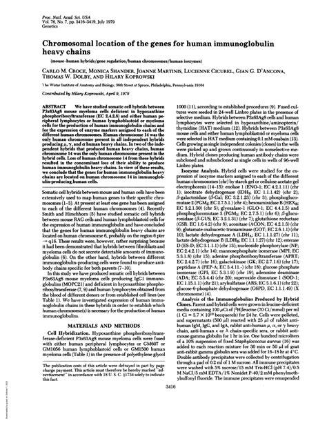 Chromosomal Location Of The Genes For Human Immunoglobulin Heavy Chains