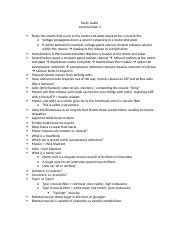 Study Guide A P Lecture Exam 3 Docx Study Guide Lecture Exam 3 Study The Events That Occur At