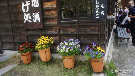 日本深山中的童話小屋，被評為世界文化遺產，白川鄉到底有何魅力 每日頭條