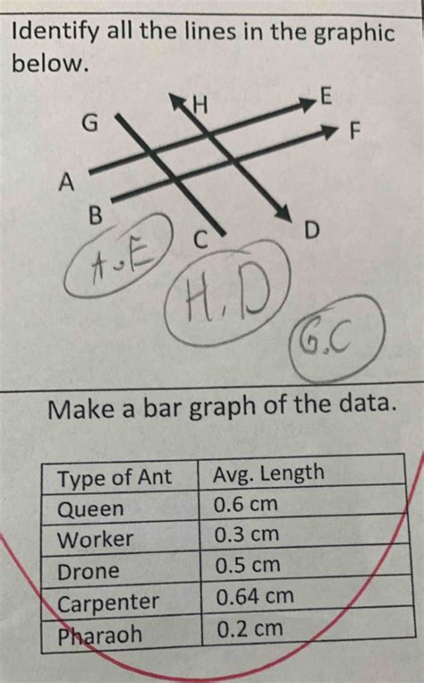 Identify All The Lines In The Graphic Below Make A Bar Graph Of The