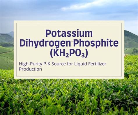 Potassium Dihydrogen Phosphite Kh₂po₃ High Purity P K Source For