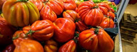 Cu L Es La Mejor Poca Para Visitar Italia En Tourradar