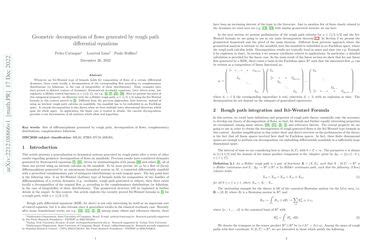 Geometric Decomposition Of Flows Generated By Rough Path Differential