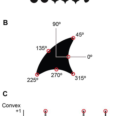 the angular position and curvature apc model and associated stimuli