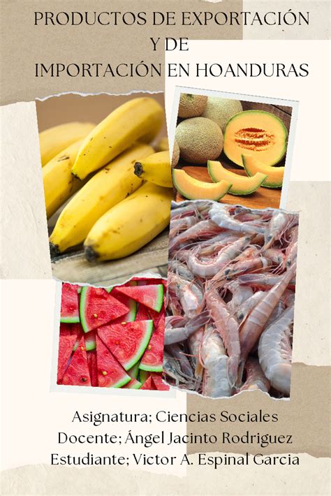 Productos De Importación Y Exportación En Honduras Ciencias Sociales