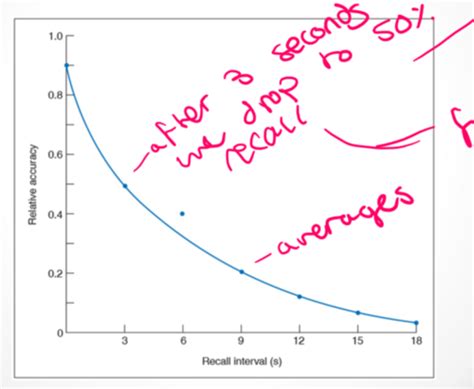 Short Term Working Memory Flashcards Quizlet