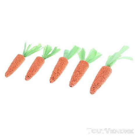 La Forme De Carotte De Morsure De Morsure De Hamster De Lapi En France Clasf Animaux