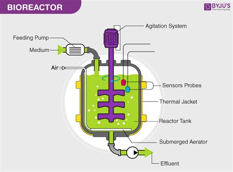Top Chemical Reactors Used In The Industry Chemengguy
