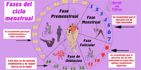 Cambios De La Piel Durante Las Fases Del Ciclo Menstrual Fases Del
