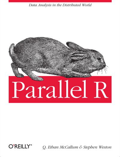 Parallel R Book