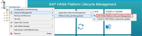 Sap Hana Revision Update Sps10 Sap Community