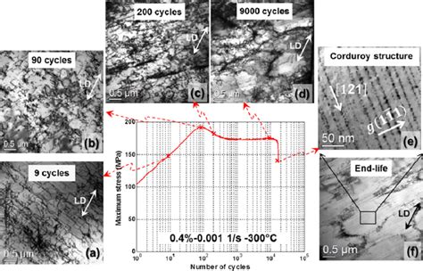 Microstructural Evolution Along With Cyclic Deformation Response At 7 Download Scientific