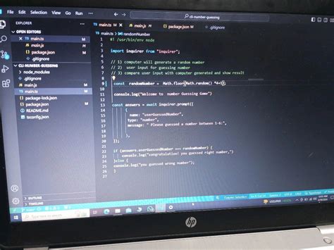 Cli Number Guessing Game Project Zara Akbar
