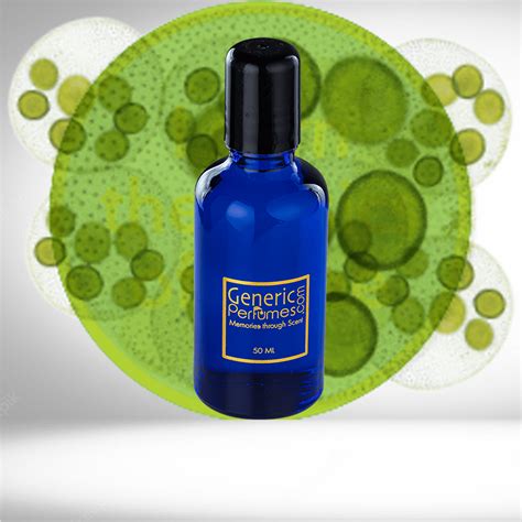 Algae Perfume Oils Generic Perfume Oils Special Blends