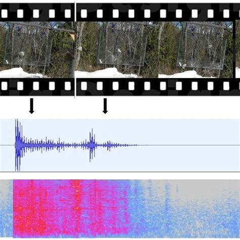 Problem Description Visually Synchronous Sound Synthesis Capturing Download Scientific Diagram