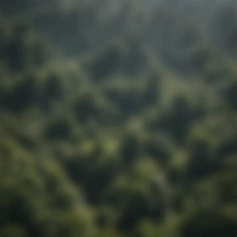 Exploring Lidar Satellites For Forestry Management