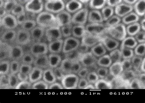 Self Organized Tio 2 Nanotubes Developed By Electrochemical Anodization Download Scientific