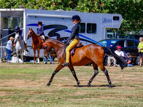 Wishing Our Stealth And Recon Athlete Cheer Dynamix 007