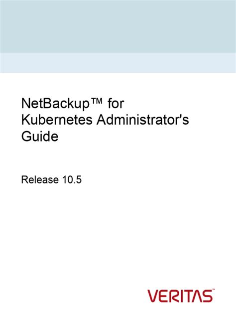 Netbackup105 Adminguide Kubernetes Pdf Backup Information