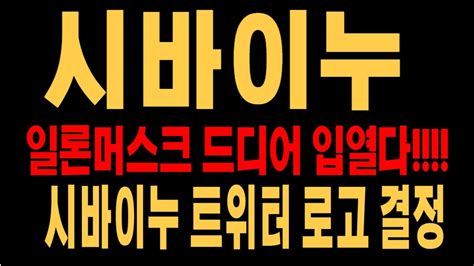 시바이누 코인전망 비트코인 이더리움 도지코인 시바이누 앞으로의전망 저스틴 선 챗gpt블록체인 저장공간 메타버스nft 코인의 향방은 Youtube