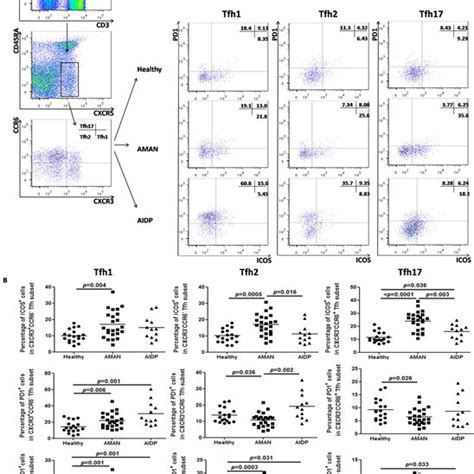 Differential Distribution Of Icos Pd 1 And Icospd 1 Cells In Tfh