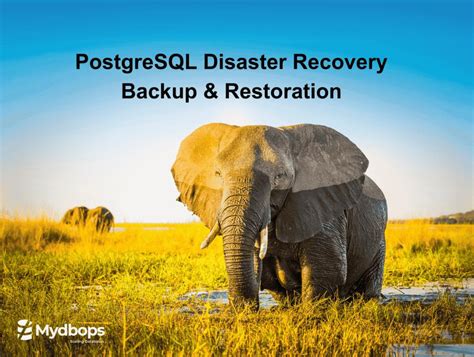 Mastering Disaster Recovery For Postgresql Easy Steps For Effective