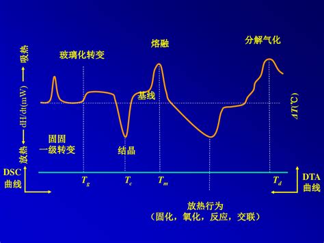 完整版 如何快速看懂dsc曲线 文档之家