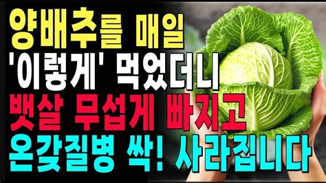 노년 건강을 위해 양배추 이렇게 드세요 당뇨 항암 노화 잡고 뱃살까지 사라집니다 최고의 궁합과 상극인 음식 Youtube