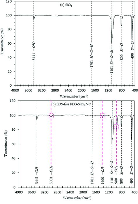 Ftir Spectra Of A Sio 2 And B Sds Free Peg Sio 2 Nc Download Scientific Diagram