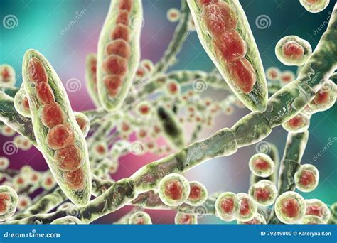 Fungi Trichophyton Illustration 79248360