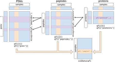 Load Mass Spectrometry Based Proteomics Data Using `readqfeatures` • Qfeatures