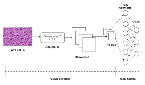 Brain Tumor Histology Algorithm Devpost