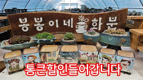 7월24일 봉봉이네화분수제공방분다육화분 Youtube